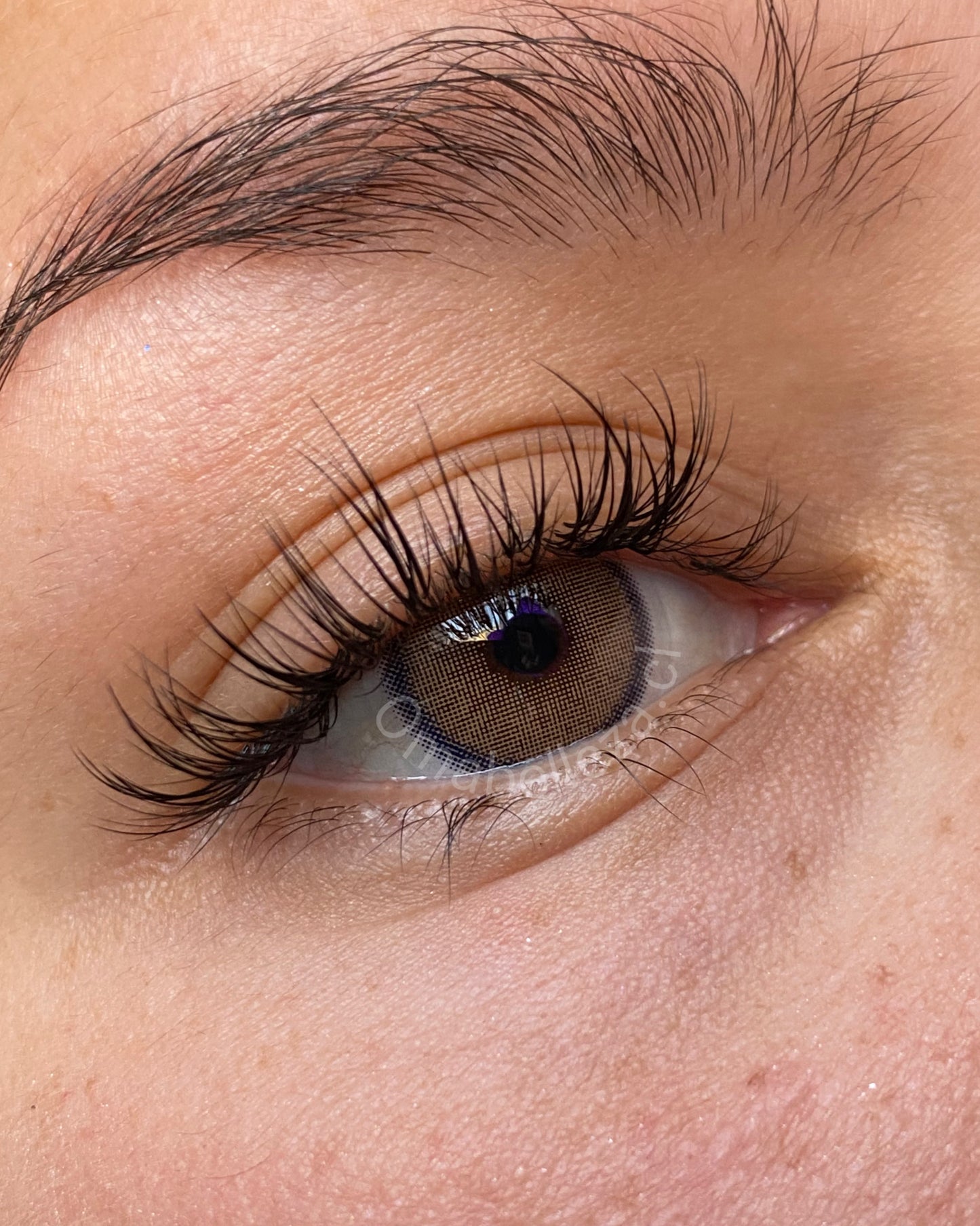 X Brown Flare - Freshlady – Oma Belleza